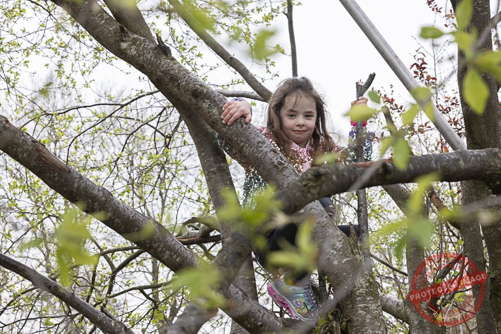 pagina basisschool de Ark - Christelijk Kindcentrum Bunschoten